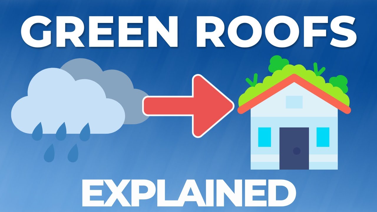Green Roofs Explained in 10 Minutes