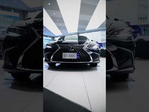 2023 Lexus ES300h