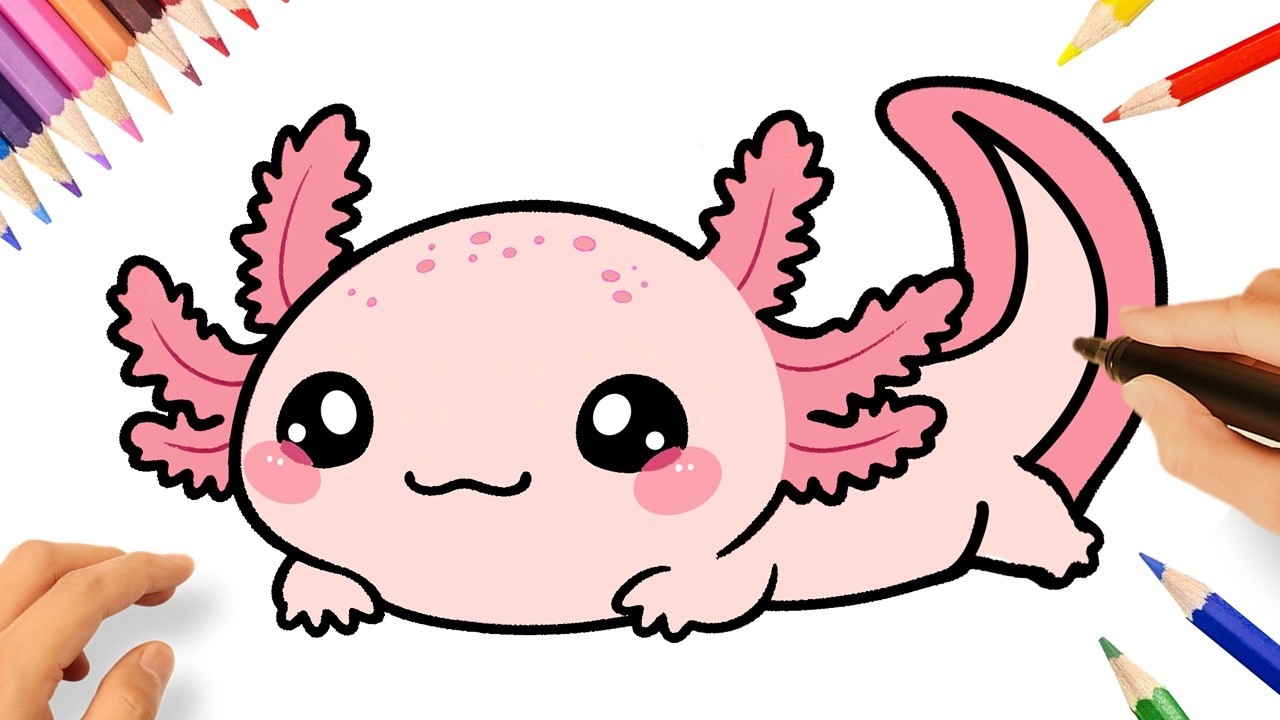 HOW TO DRAW A CUTE AXOLOTL