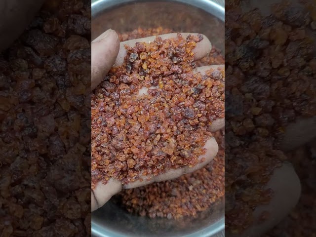 Herbal Seed - Raw Neem Seed Wholesale Trader from Hyderabad