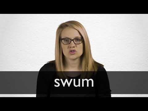 SWUM definition and meaning | Collins English Dictionary