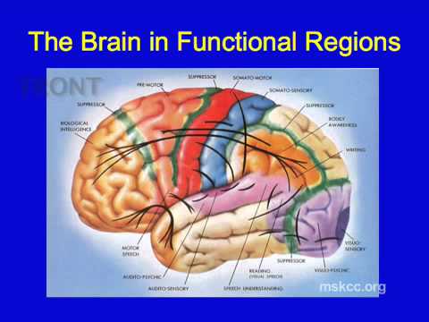 What Are Brain Tumors?