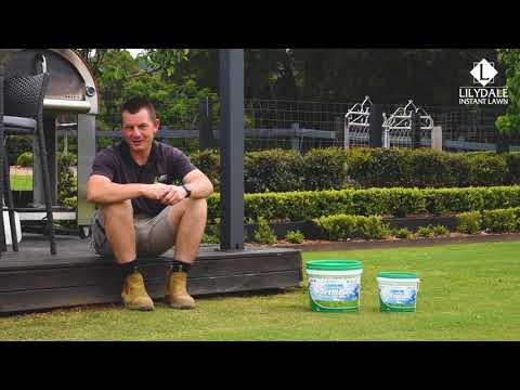 Common lawn questions you may have.