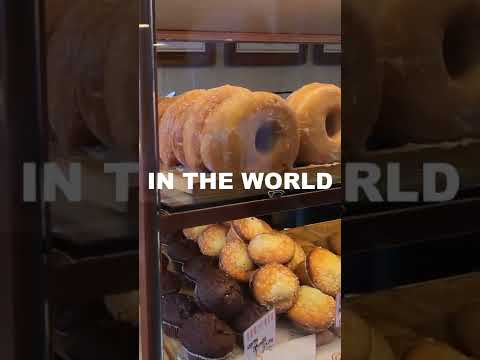 The BEST donuts in the WORLD? #shorts #foodshorts #foodie