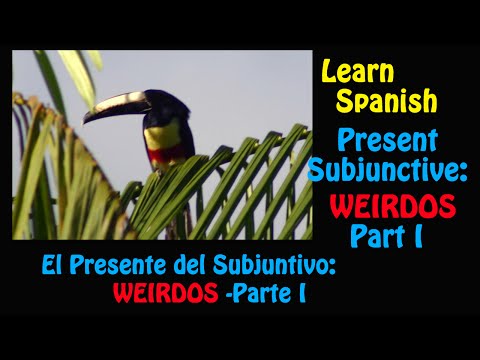 Learn Spanish- How to Use The Present Subjunctive with WEIRDOS