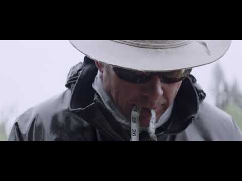 River Tigers Trailer