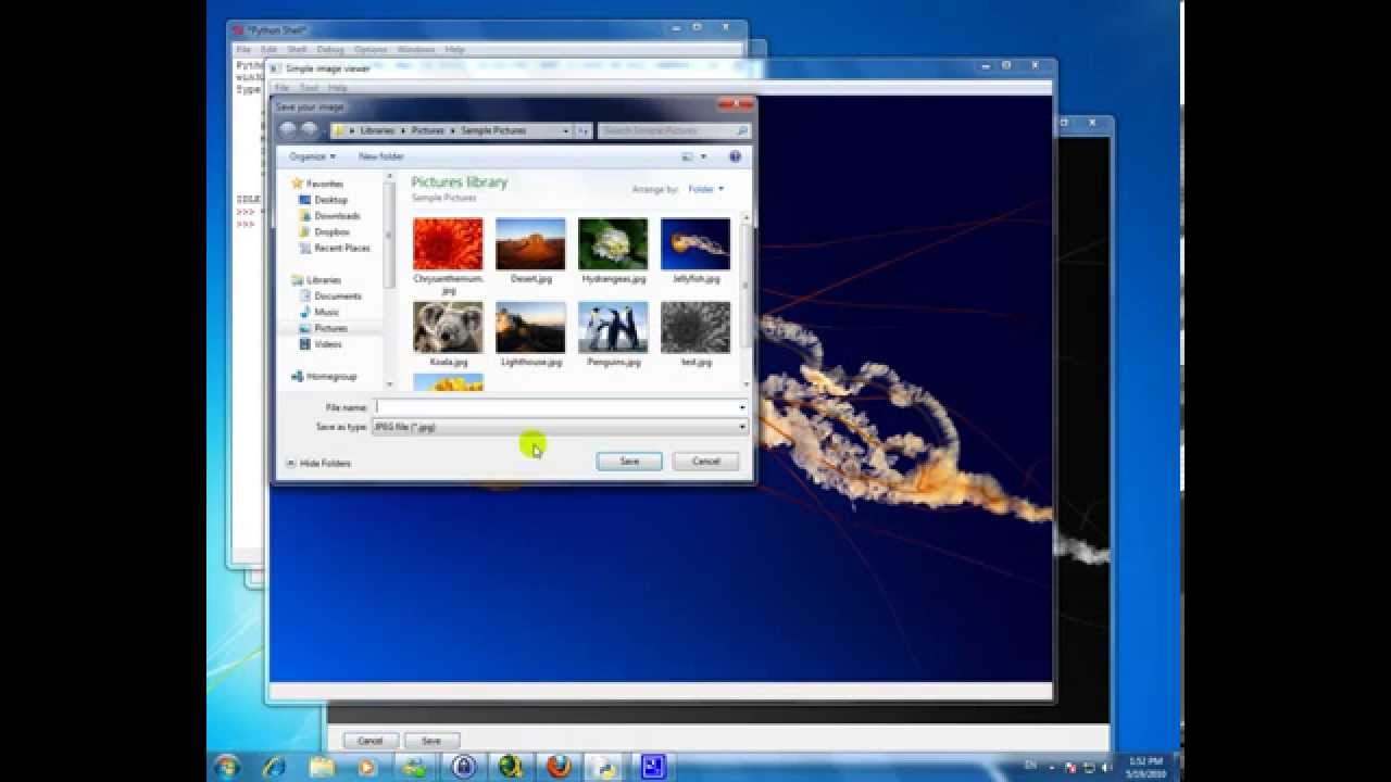 Simple Image Viewer with wxPython