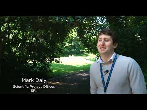 Mark - UCC Physics Graduate