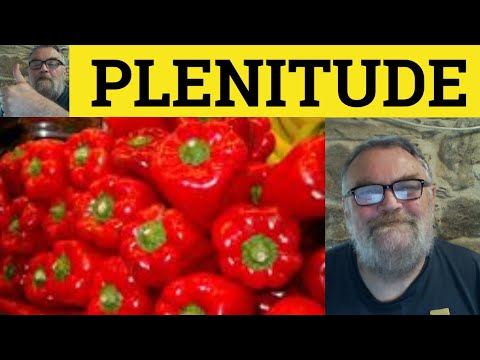 🔵 Plenitude Meaning - Plentitude Examples - Plenitude Defined - The Principle of Plenitude - Formal