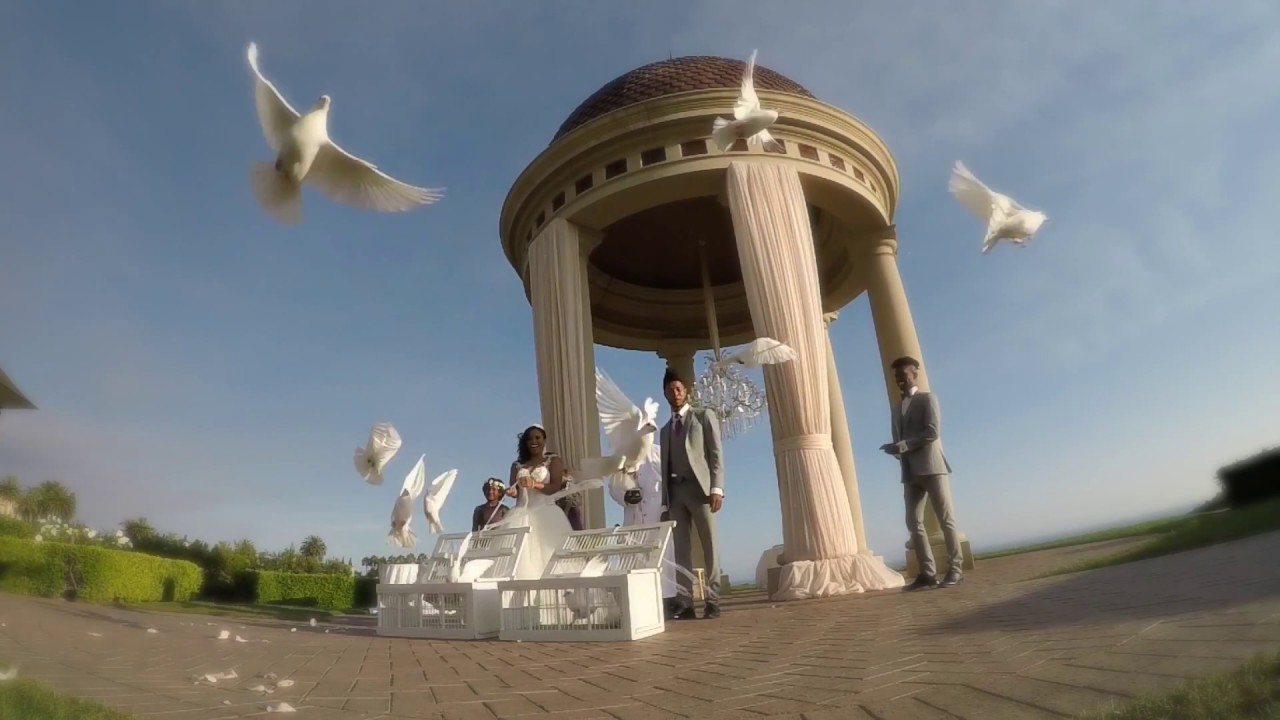 Wedding White Doves