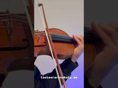 Bunny Girl - AKASAKI - Violin Cover