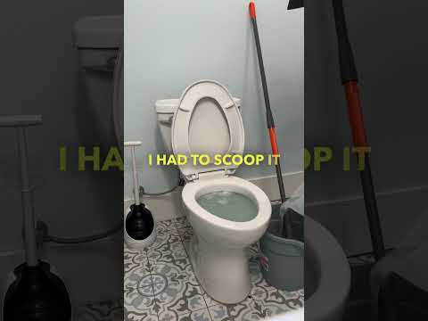 Overflowing Toilet Nightmare: What Not to Do on a Friday