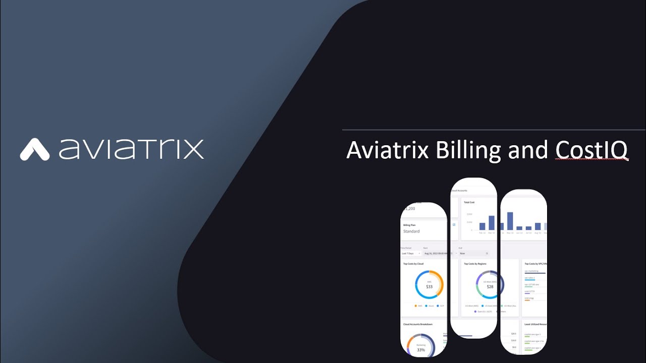 Aviatrix CostIQ - 2 minute Demo