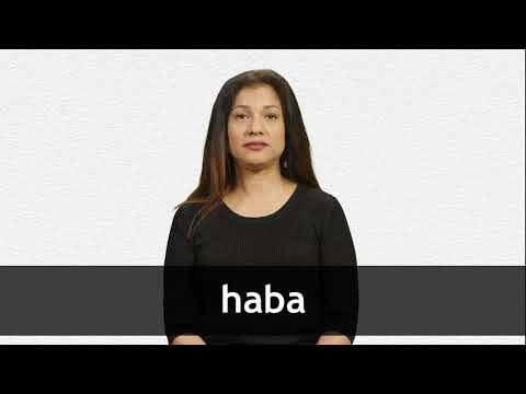 English Translation of “HABA” | Collins Spanish-English Dictionary