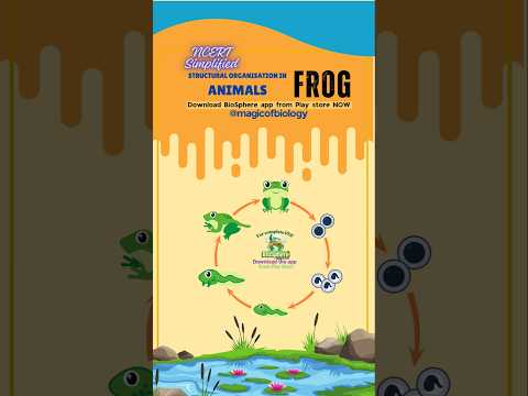 Frog #biology #biologybook #frogshortnotes #frog #froglecture #frognotes #neet #neet2026