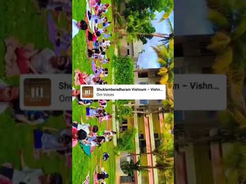 yoga day celebration in N.S.E.S