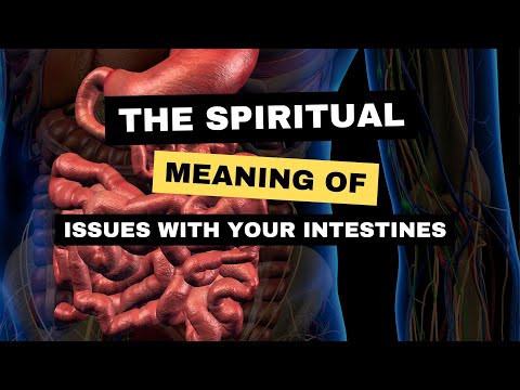The Spiritual meaning of Issues with your Intestines | The Secret Language of Your Body