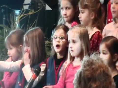 The “Poochie Lip Disease” | The Fragile Clay Jar: A Blog