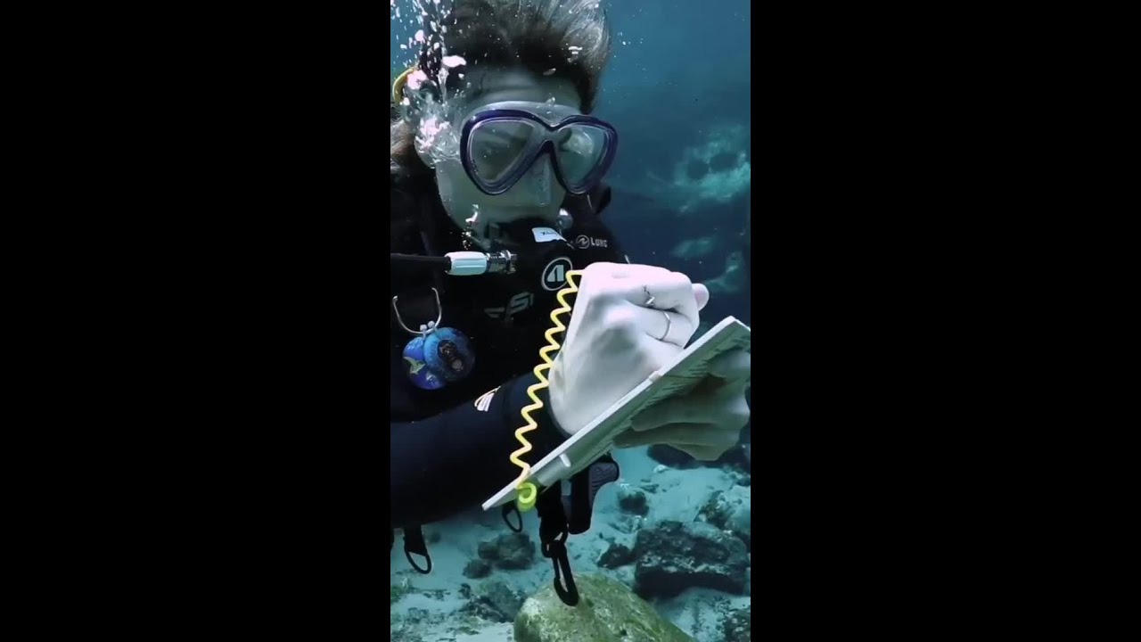 The Best Scuba Regulators of 2023 Reviewed