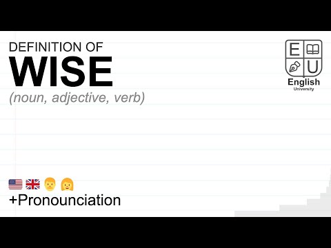 WISE meaning, definition & pronunciation | What is WISE? | How to say WISE