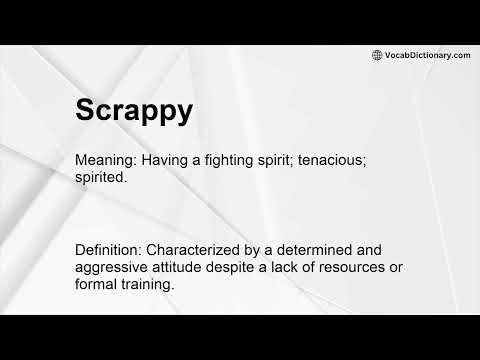 Scrappy Meaning