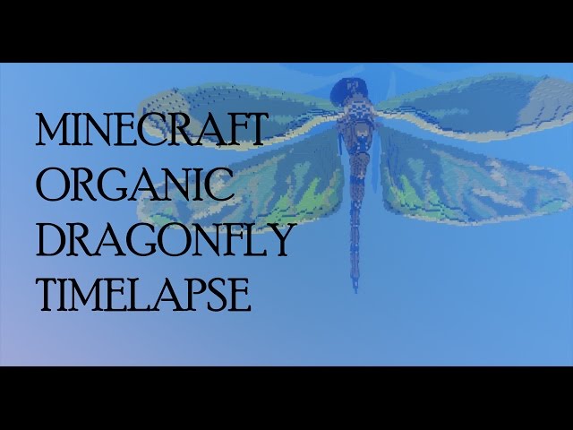 Dragonfly Organic Build Minecraft Map