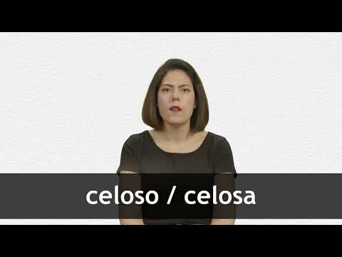 English Translation of “CELOSO” | Collins Spanish-English Dictionary
