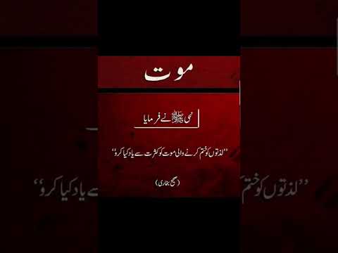 #aadi se mubarakan #trending #quran #islamic2 #video #tilawat #shortsvideo #hafiz Tayyab Mahmood 🌹