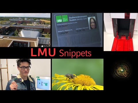 LMU Snippets