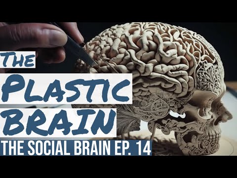 Rewire Your Brain: How Neuroplasticity Can Transform Your Life (The Social Brain Ep 14)