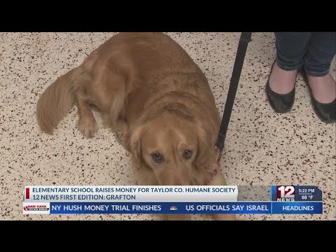 Local elementary school raises money for Taylor County Humane Society