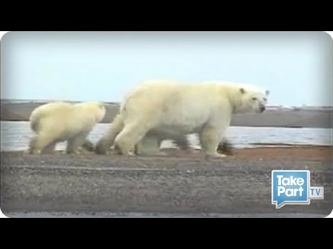 Defenders of Wildlife Uses Charity Money for Environmental Innovation⎢TakePart TV