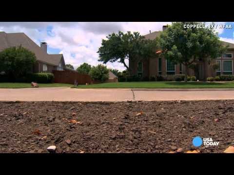 Xeriscaping nixed by homeowner's HOA