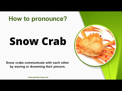 How to pronounce Snow Crab in English correctly
