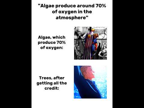 Algae Produce 70% Of Oxygen Trees After Getting Credits #anime #relatable #fypシ゚ #viral #memes #meme