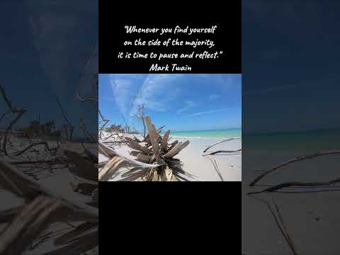Mark Twain Quote - Critical Thinking #youtubeshorts #motivation #inspiration #success