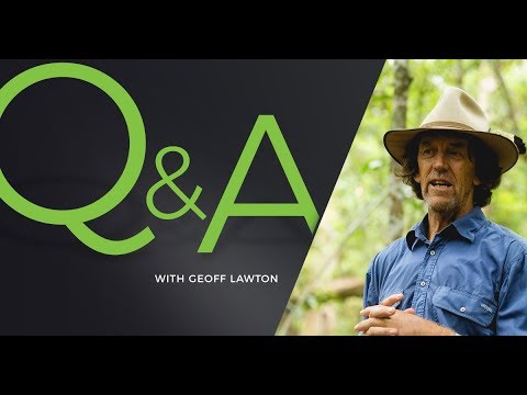 Q&A: Inhabiting Where Forest is Now Encroaching