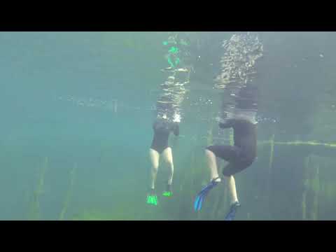 Sinkhole snorkelling Piccaninnie Ponds SA 14 April 2022 – "cuttlefish ...