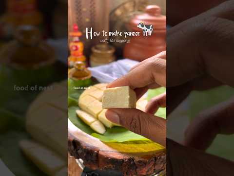 வீட்டிலேயே பன்னீர் செய்வது எப்படி How to make soft paneer #paneer #viral #foodvideos #foodofnest