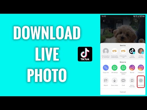 How To Download A Live Photo On TikTok