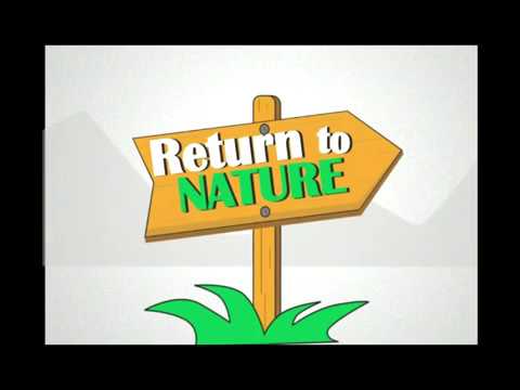 health tips in hindi according to Naturopathy