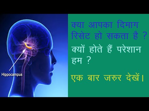 How to Restart your Brain | Hippocampus Facts in Hindi | Power of Brain |