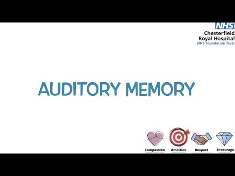 Auditory Memory Activities