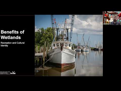 Restoring Our Wetlands