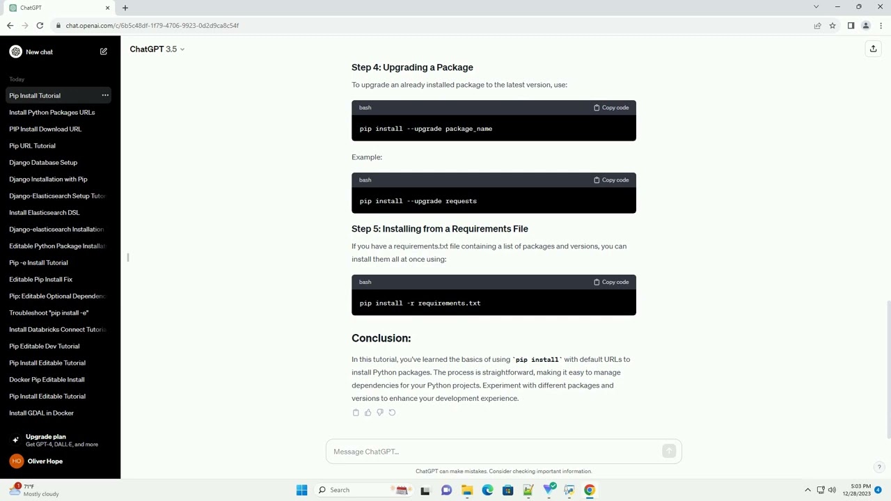 pip install default url