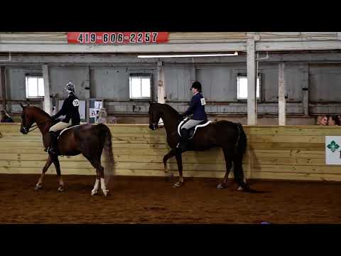 Nic and Oliver in Class 19 - ASB Country Pleasure Hunter Adult at ASHAO Horse Show on May 17, 2025