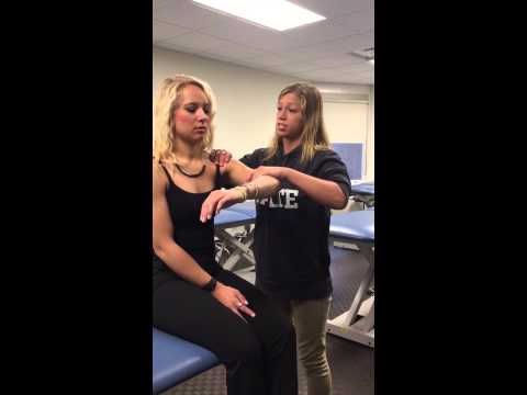 Anterior Deltoid Manual Muscle Test