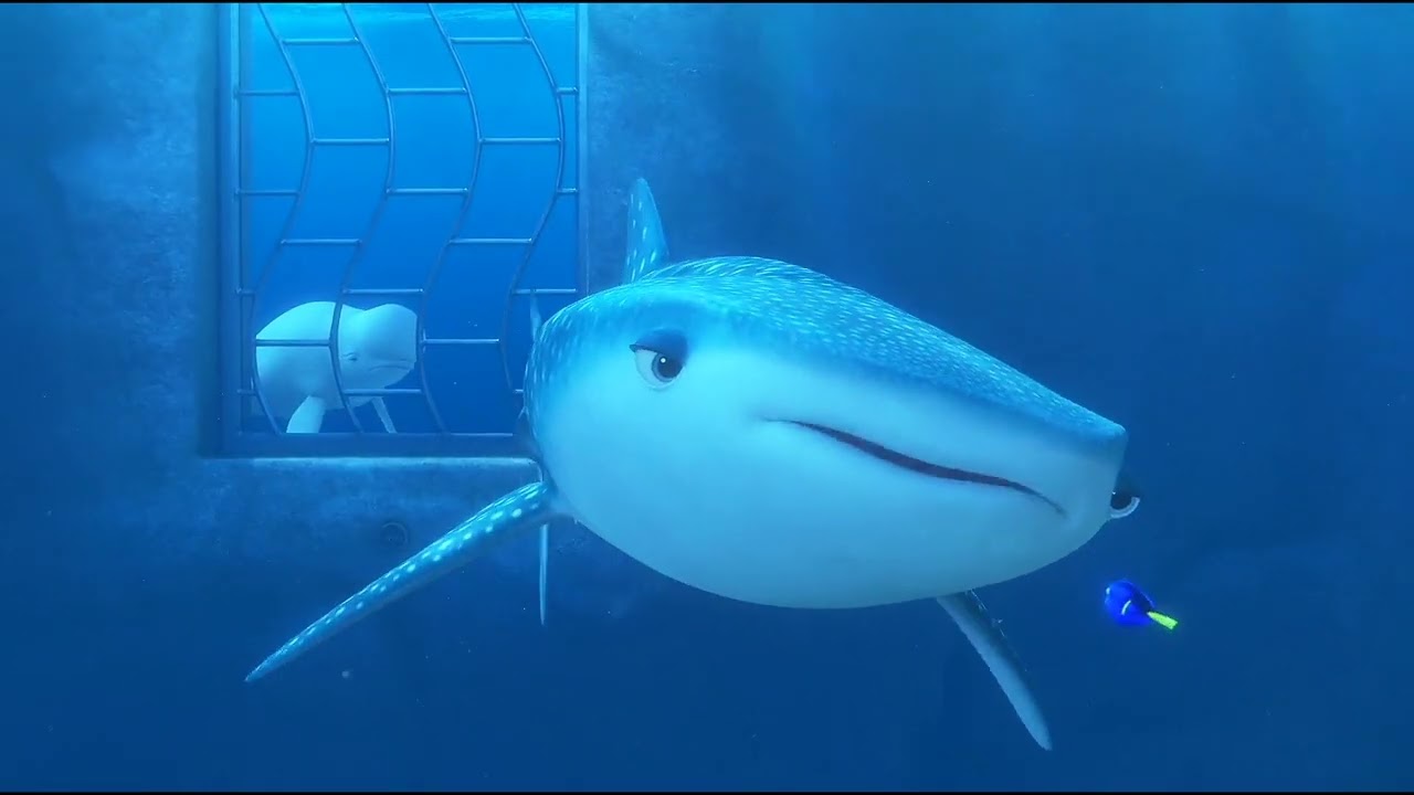 Finding Dory - Meeting Destiny & Bailey [720p, 1080p - BluRay] (60 FPS) [YTS.AG] (HD)