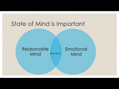 DBT Skills Mindfulness