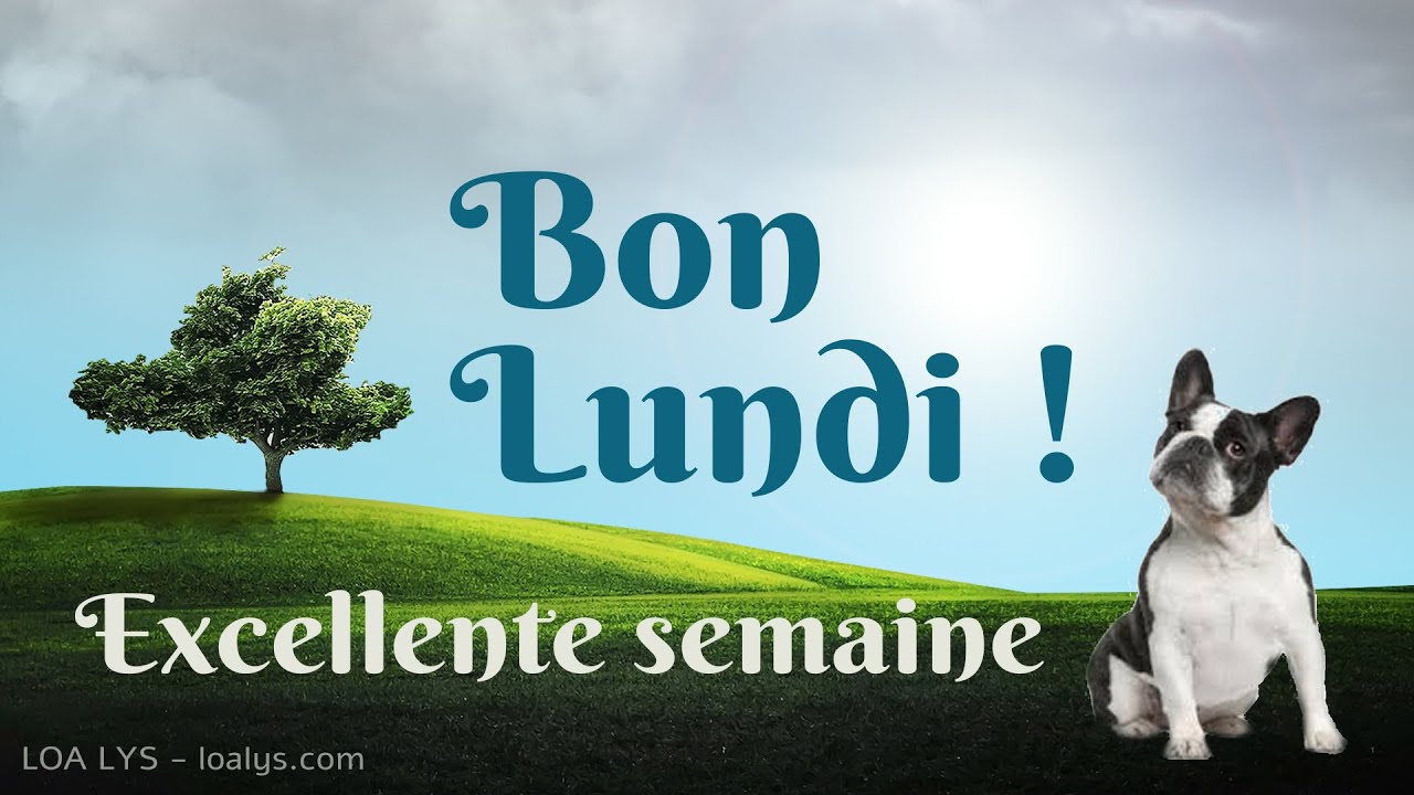 Bon lundi - bonne semaine - carte virtuelle humour